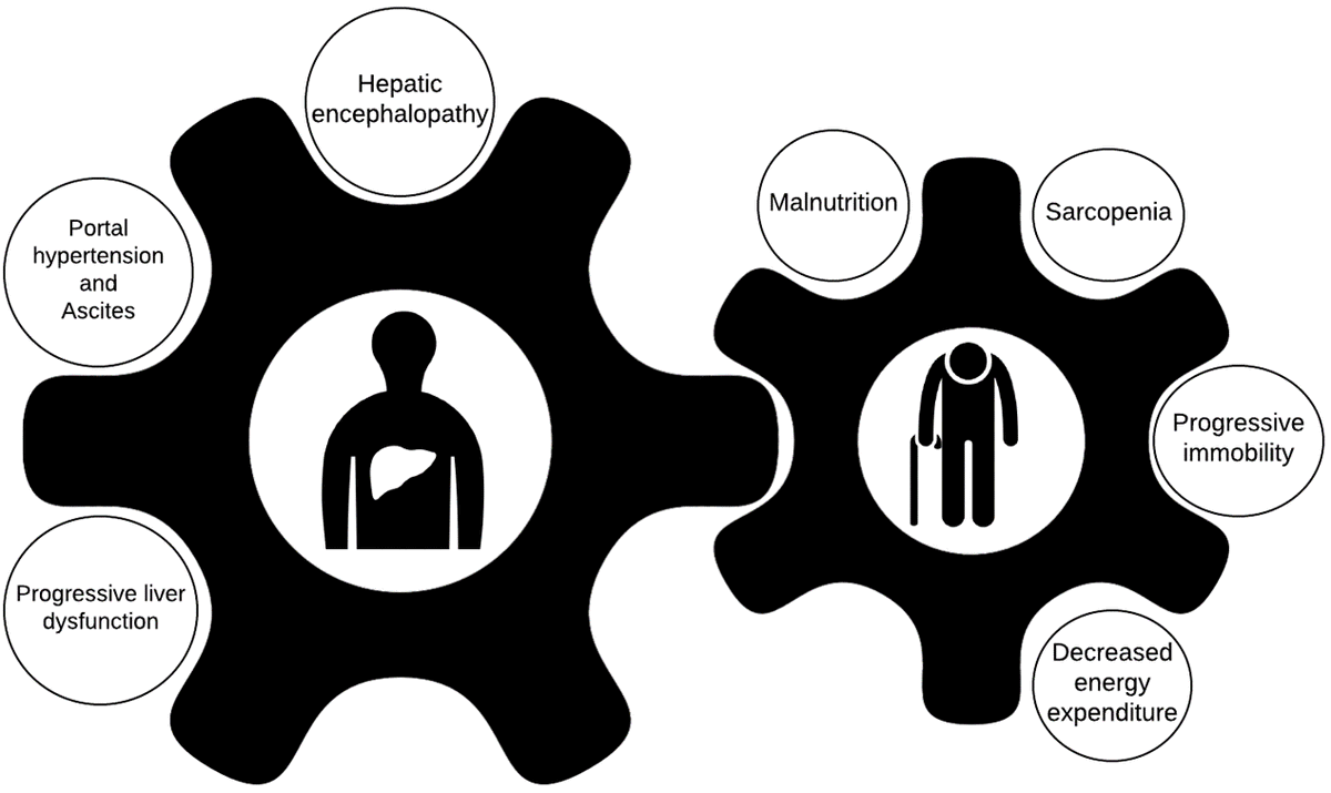 Preparing a talk Some tips🧵 - المسلسل من Elliot Tapper @ebtapper - رتبها