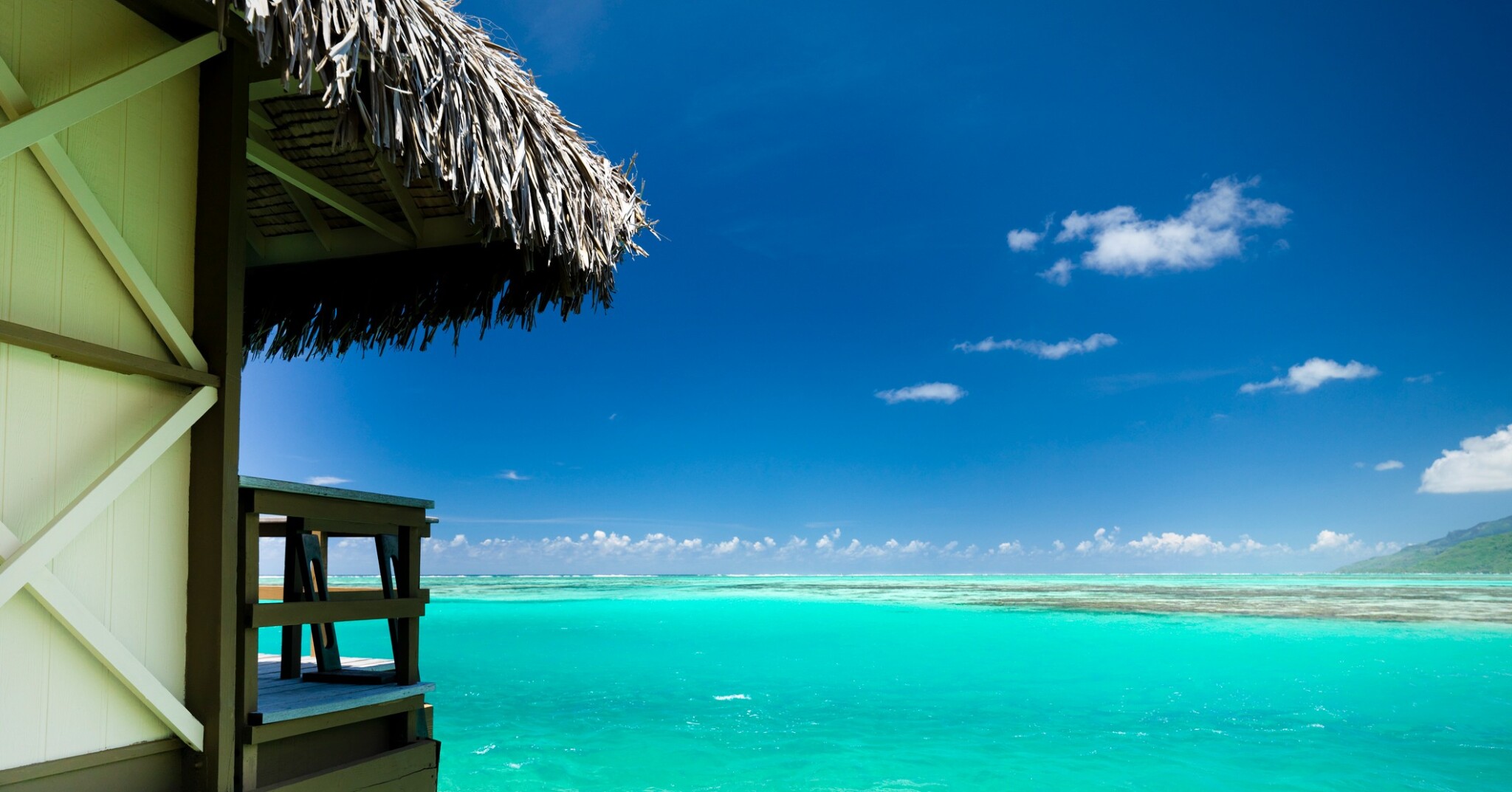 France Culture on Twitter: "Son dernier livre Fenua, fut pour l'écrivain Patrick Deville une ...