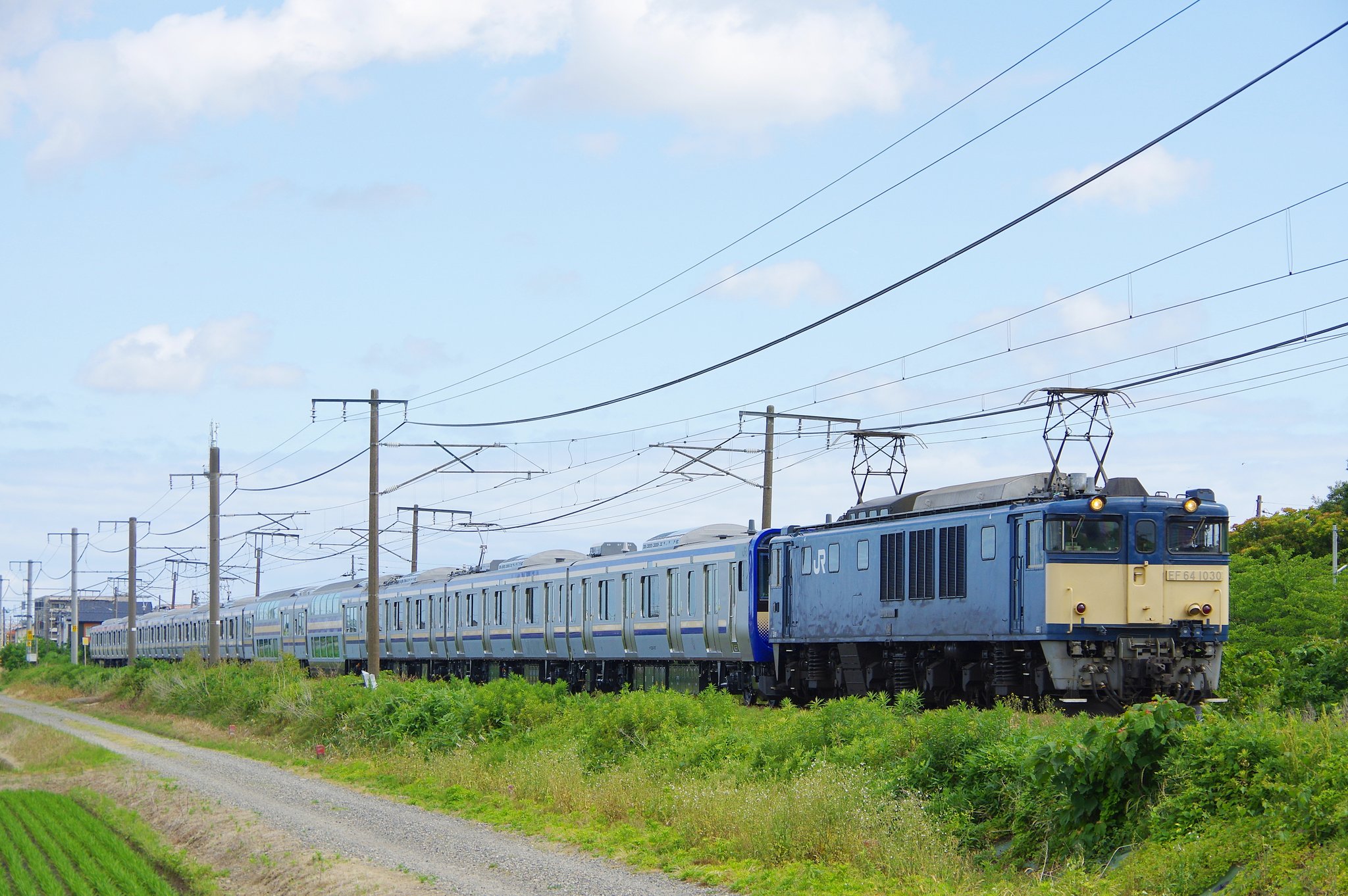 夕 ヌ キ 鐵 on Twitter: "今日の収穫 信越本線 配9728ﾚ 横須賀･総武快速線用 配給 EF64 1030 牽引 E235系 1000番台 11両 F-17編成 (横ｸﾗ ...
