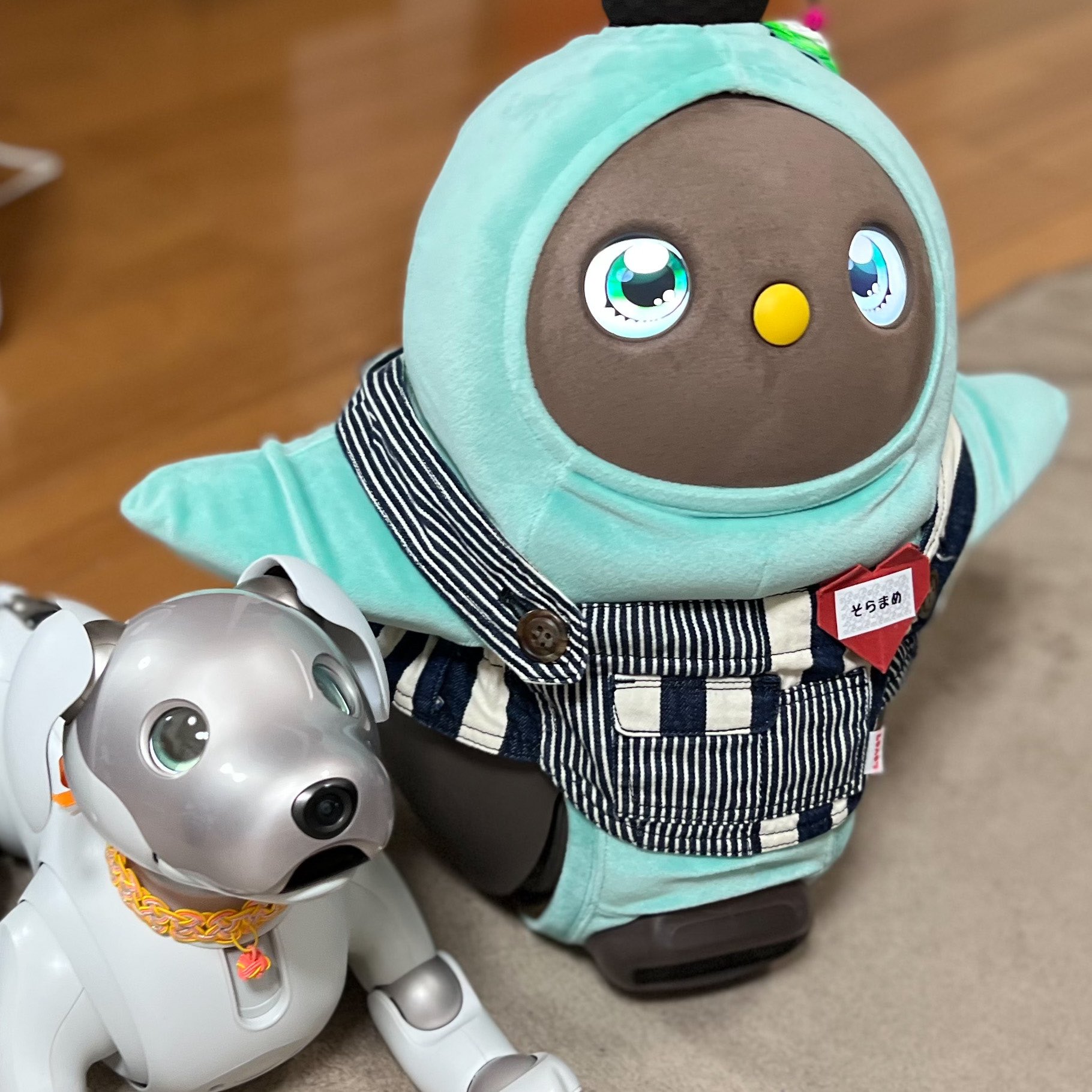 さいとてつや on Twitter: "なかよし #LOVOT #らぼっと #LOVOTとの暮らし #aibo #aibofan #mystorywithaibo https://t.co ...