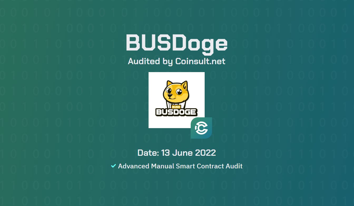 Coinsult on Twitter: "🔒 New Audit completed for @BUSDOGE! Read more: https://t.co/0fvq8haiNX 👀 ...