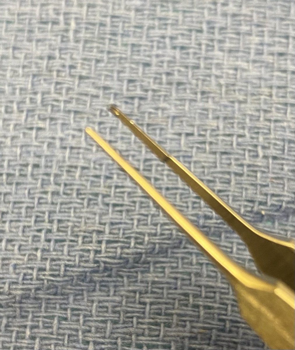 Continuing the series: This is a🧵of Adson forceps and their various ...