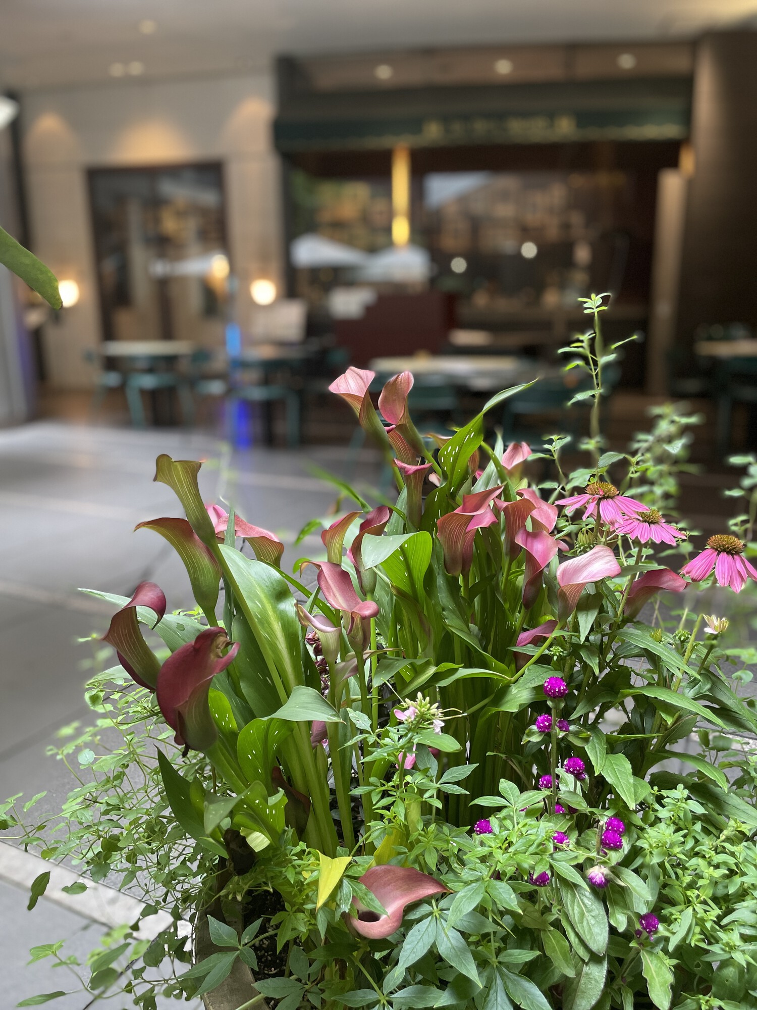 Bunkamura公式ツイッター on Twitter: "おはようございます🌼 本日6/14(火)の開催ラインナップはこちら ⇒https://t.co/mSD3fkkrnl ご来場の際は ...