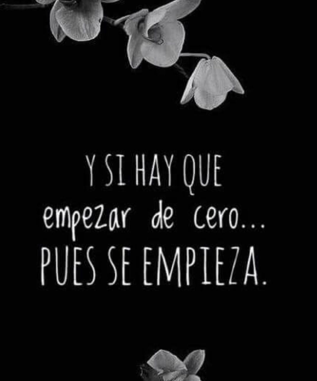 Donovan On Twitter Porque No Hay De Otra Https t co 7bSp4W4nkH donovan-on-twitter-porque-no-hay-de-otra-https-t-co-7bsp4w4nkh