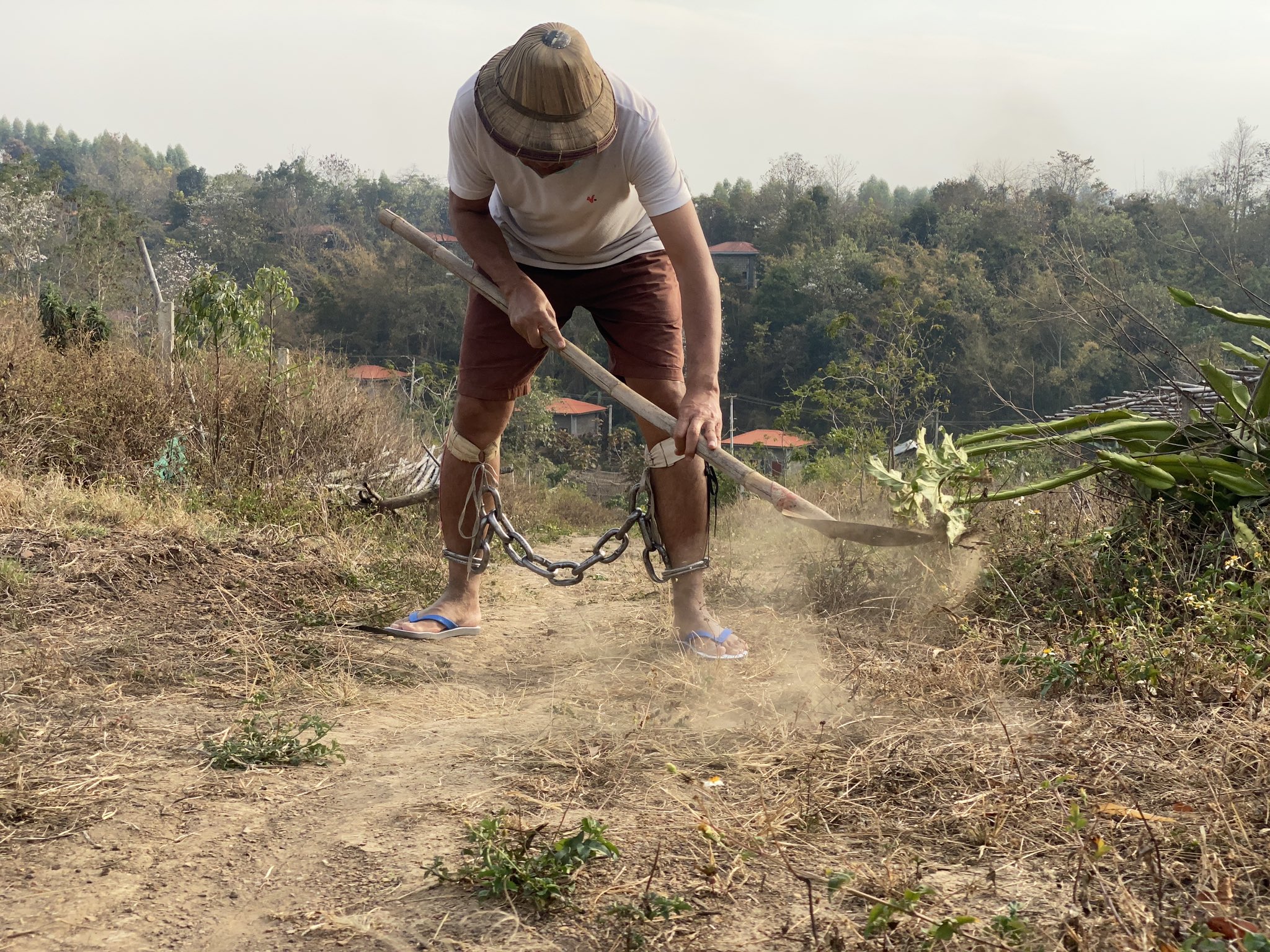 Shackled MR on Twitter: "https://t.co/LY2HuyGBrD" / Twitter