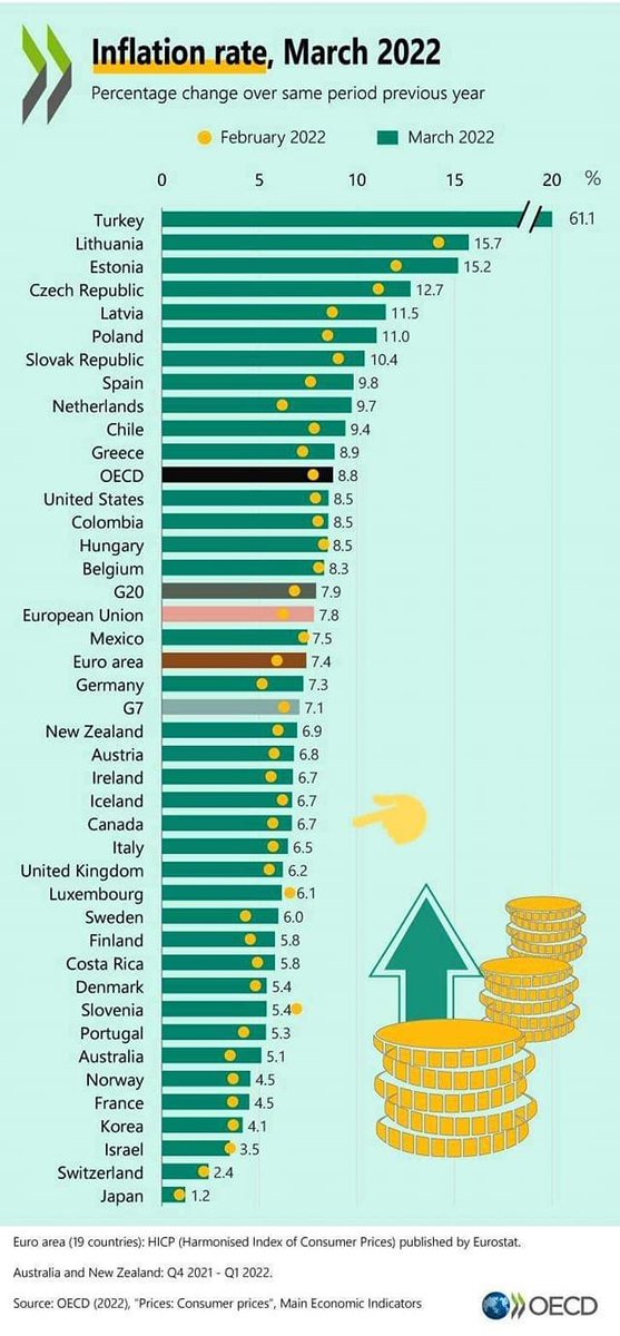 As inflation reaches a 40-year high in the US What is causing such high ...