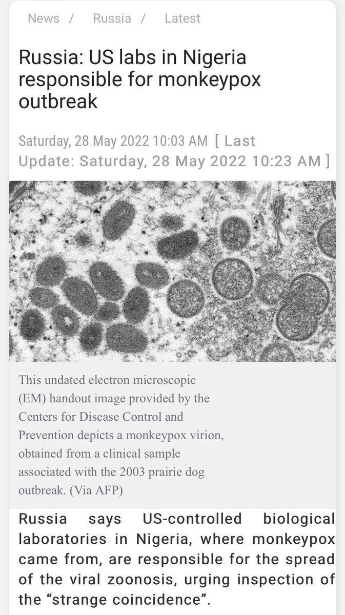 George Webb - Investigative Journalist on Twitter: "Read my substack - A Pox Upon Both Your ...