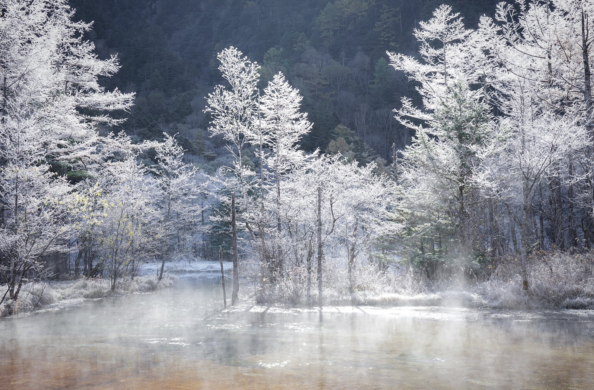 Ryogo Urata (@Ryogo_Urata) / Twitter