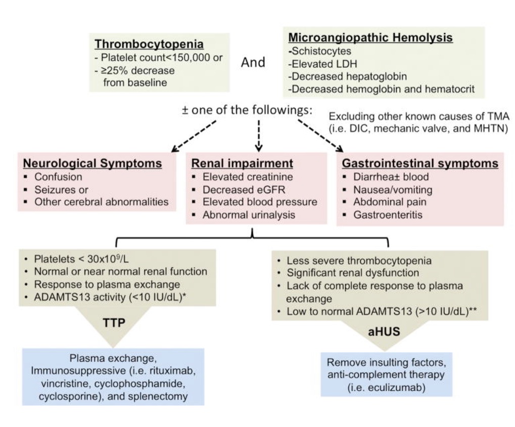 A thread on Thrombotic thrombocytopenic purpura-Hemolytic Uremic ...