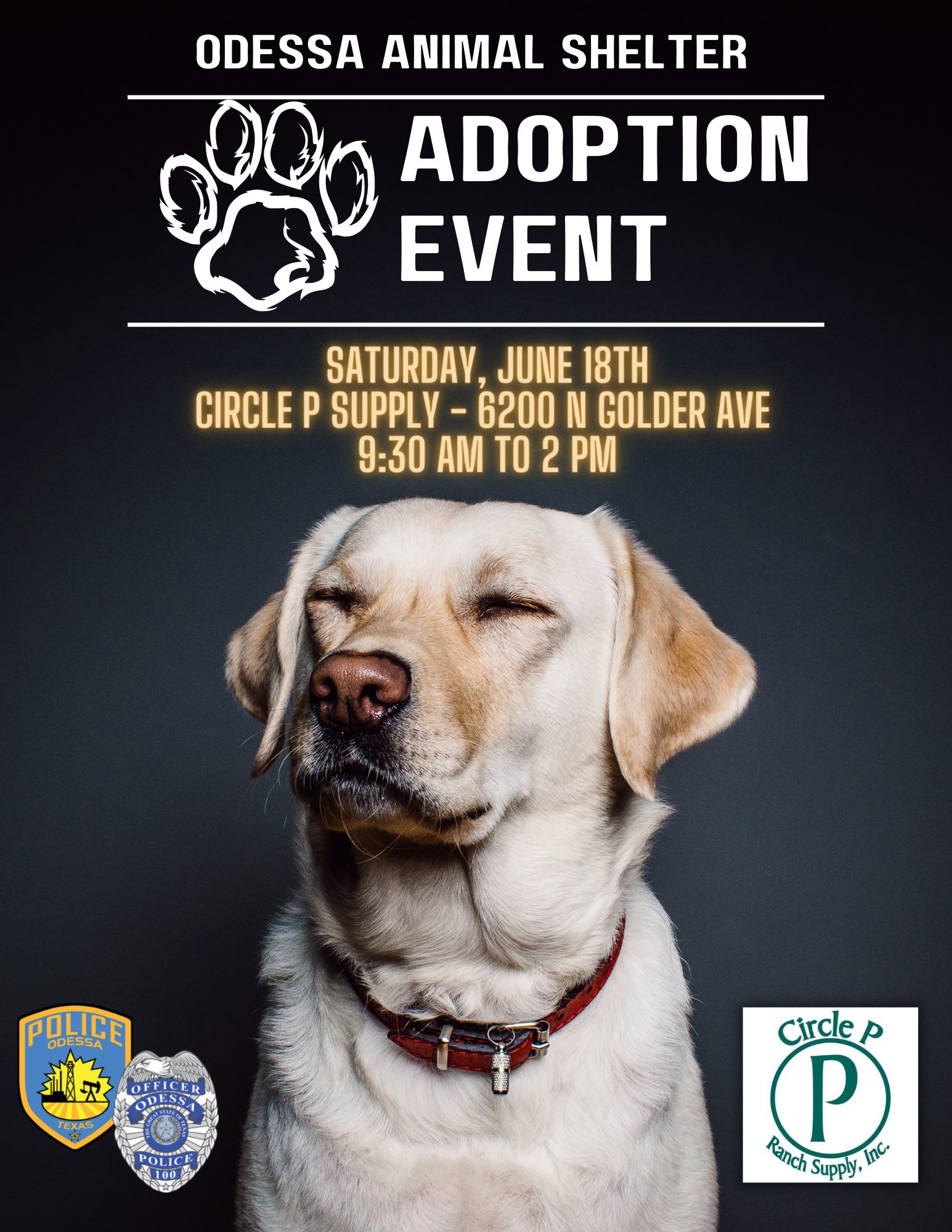 Circle P Ranch Supply