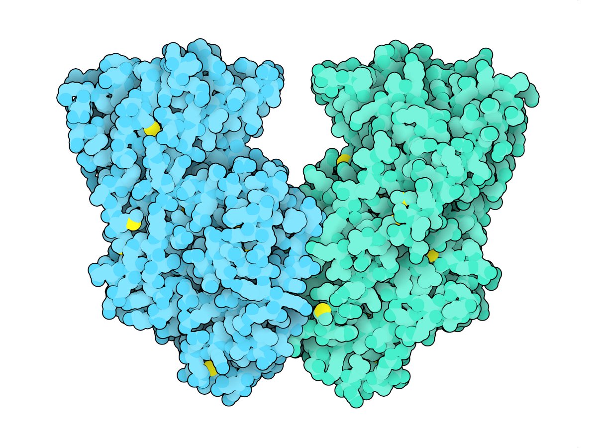 Molecular Blobs On Twitter 7cjy Drimenol Synthase From Persicaria