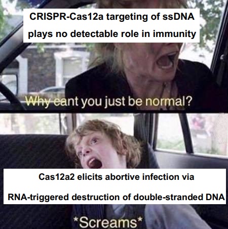 Crispr Memes Crispr Cartoons And Comics Funny Pictures From