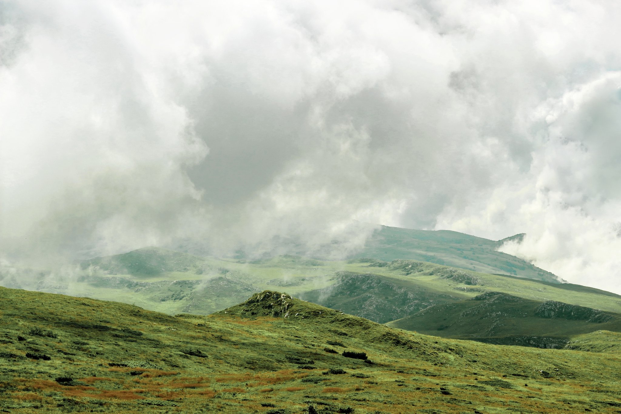 Micca on Twitter: "Gm ☕☁️🌞 Have a beautiful day! https://t.co/9qhRwa1OCN" / Twitter