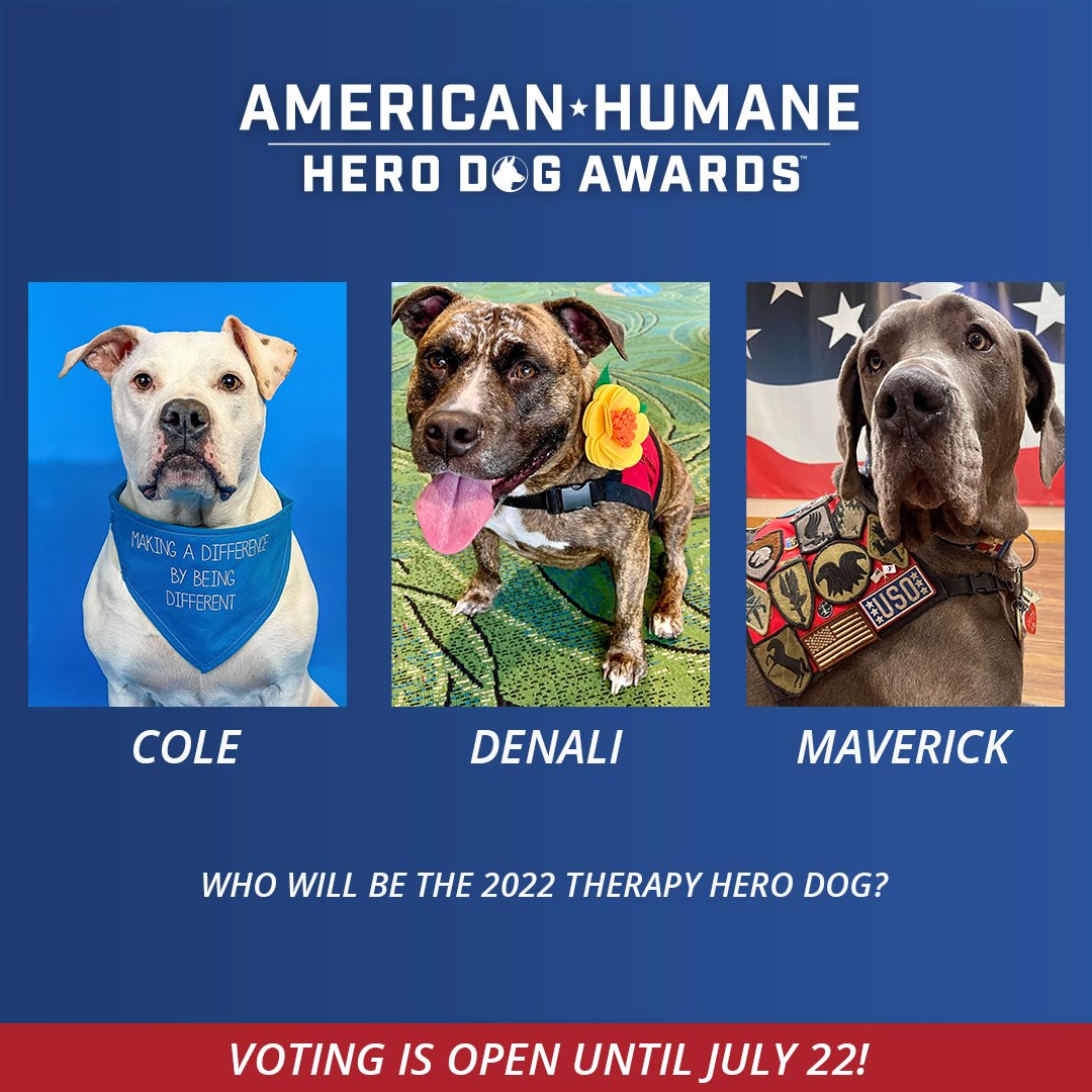 What Happens At The Hero Dog Awards