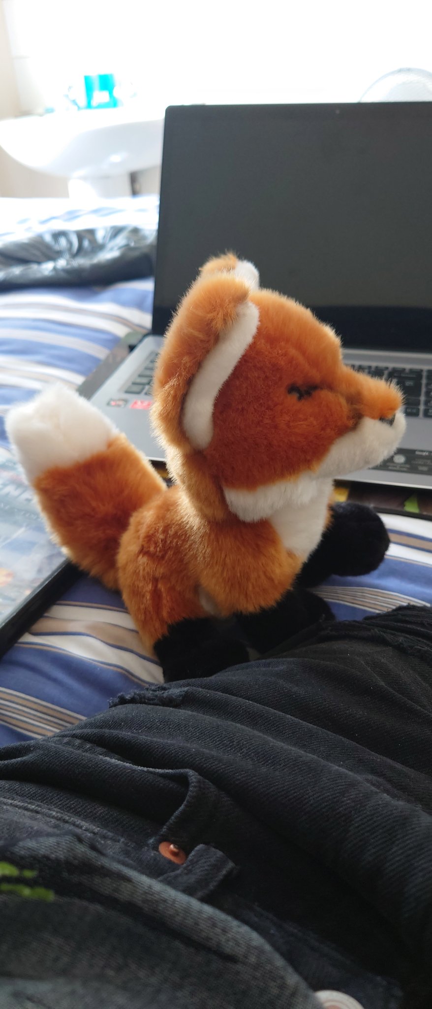 🦊🏳️‍⚧️ Ruby Kitsune Fox 🏳️‍⚧️🦊 (@RubyKitsuneFox) / Twitter