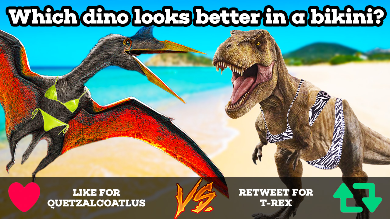 DinoX 🦖 | 7/30 Days of Growth on Twitter: "🦖Round 6: Welcome to Dino ...