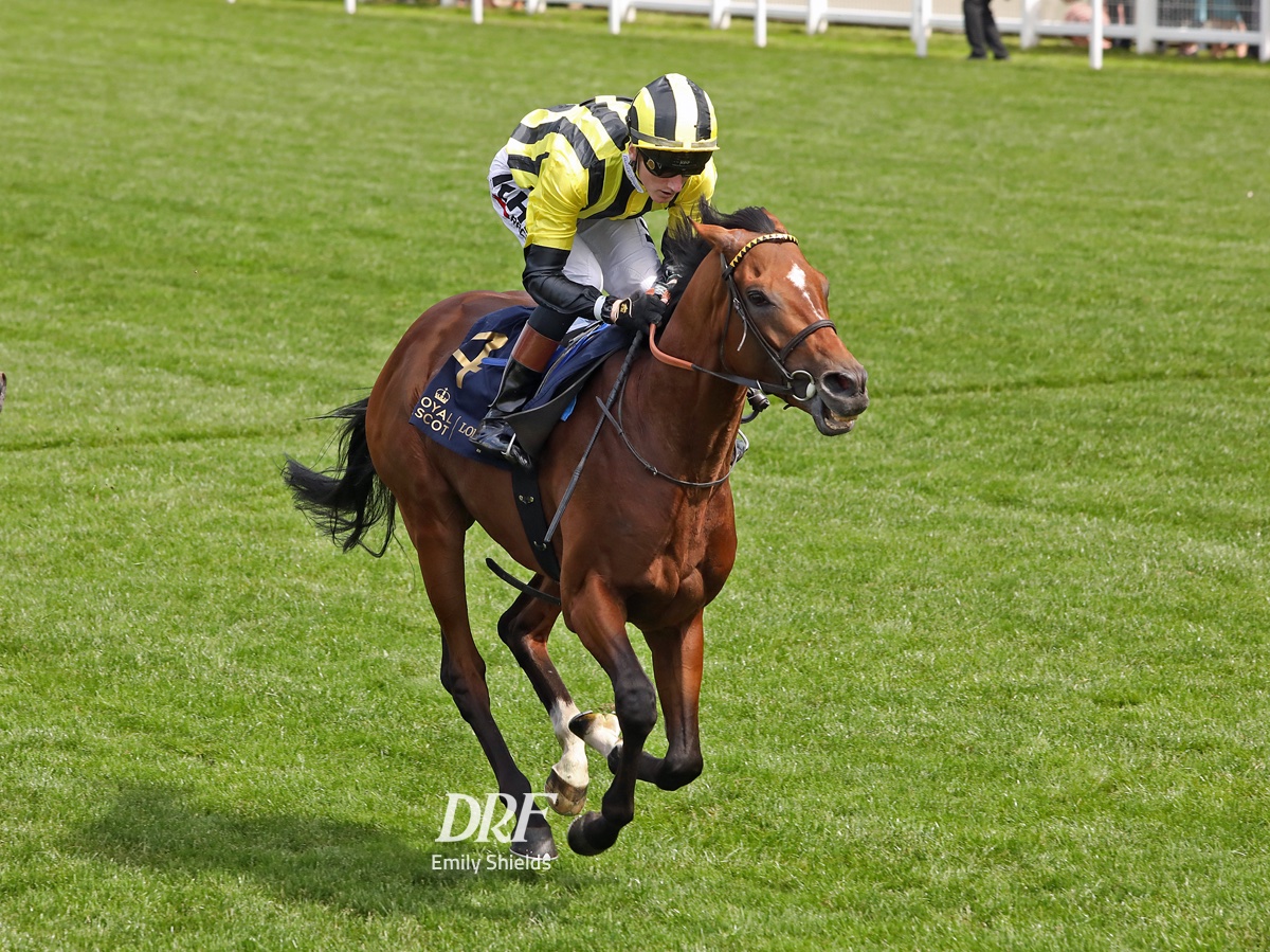 Daily Racing Form on Twitter: "Eldar Eldarov wins the Group 2 Queen's Vase in a whisker-tight ...