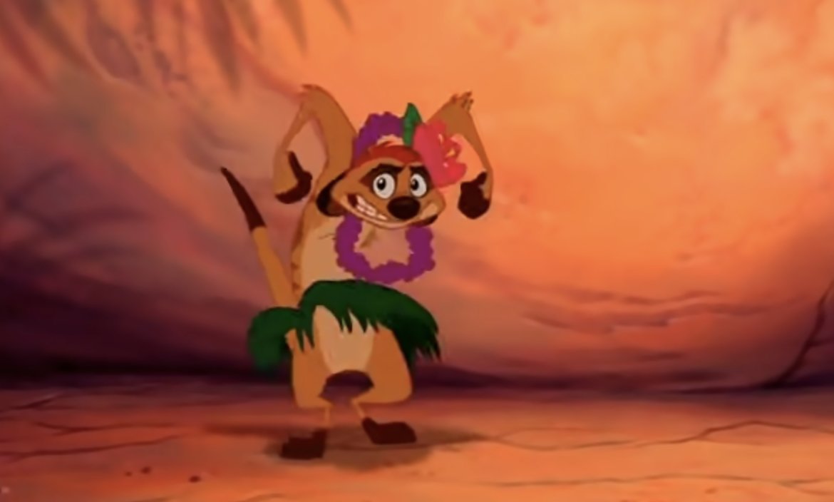 Timon In Hula A Dress