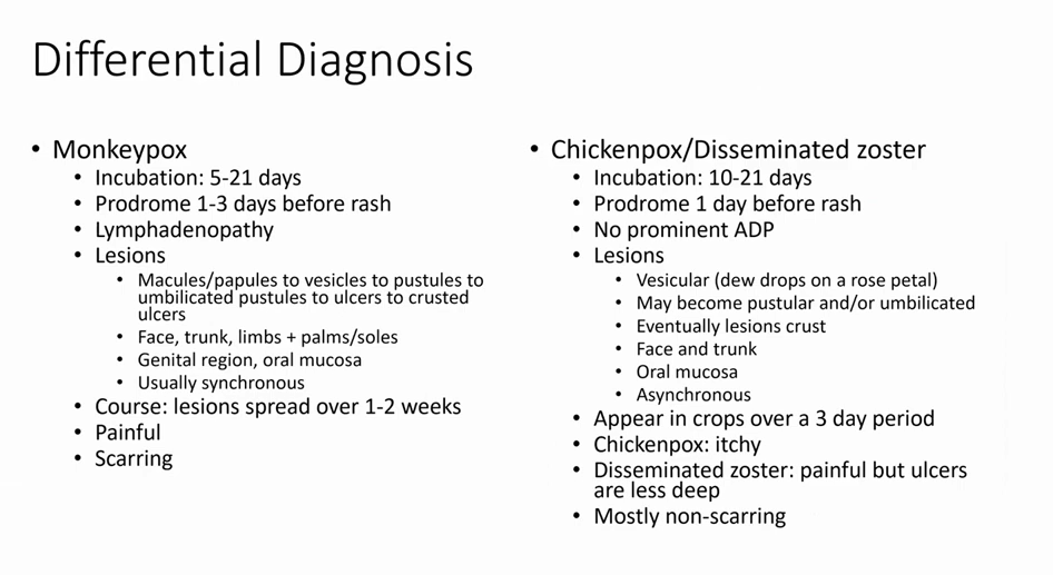 Papular Rash Differential