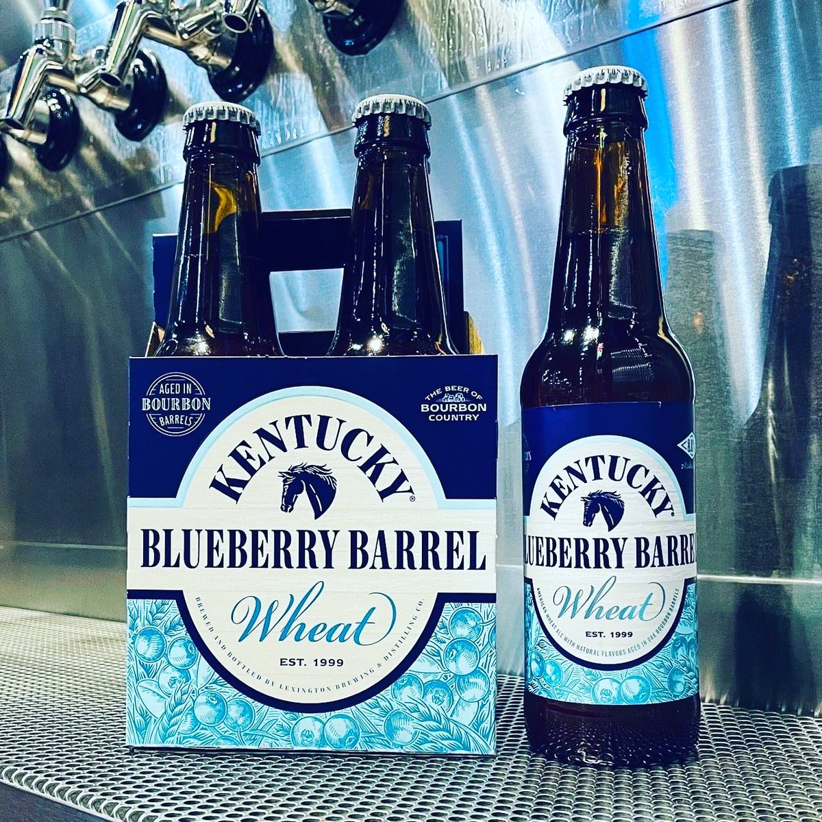Blueberry Wheat Beer