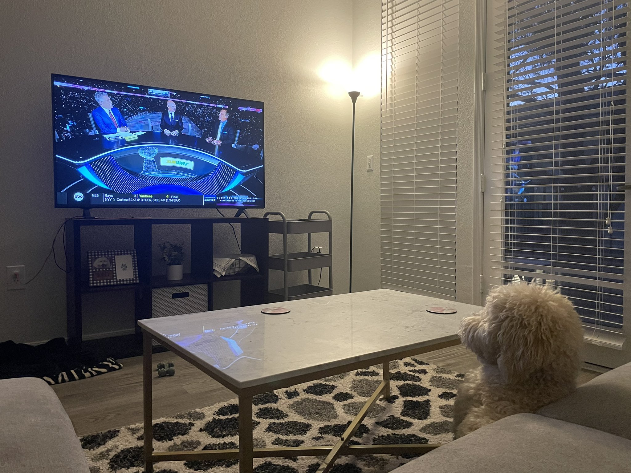 Ava Debord on Twitter: "beau is LOCKED IN to game 1 https://t.co/nzXUp0vigD" / Twitter