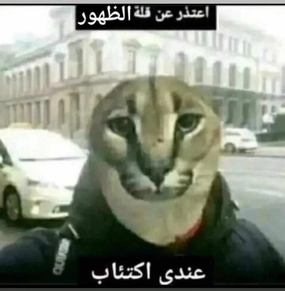 Arabic Writing Memes