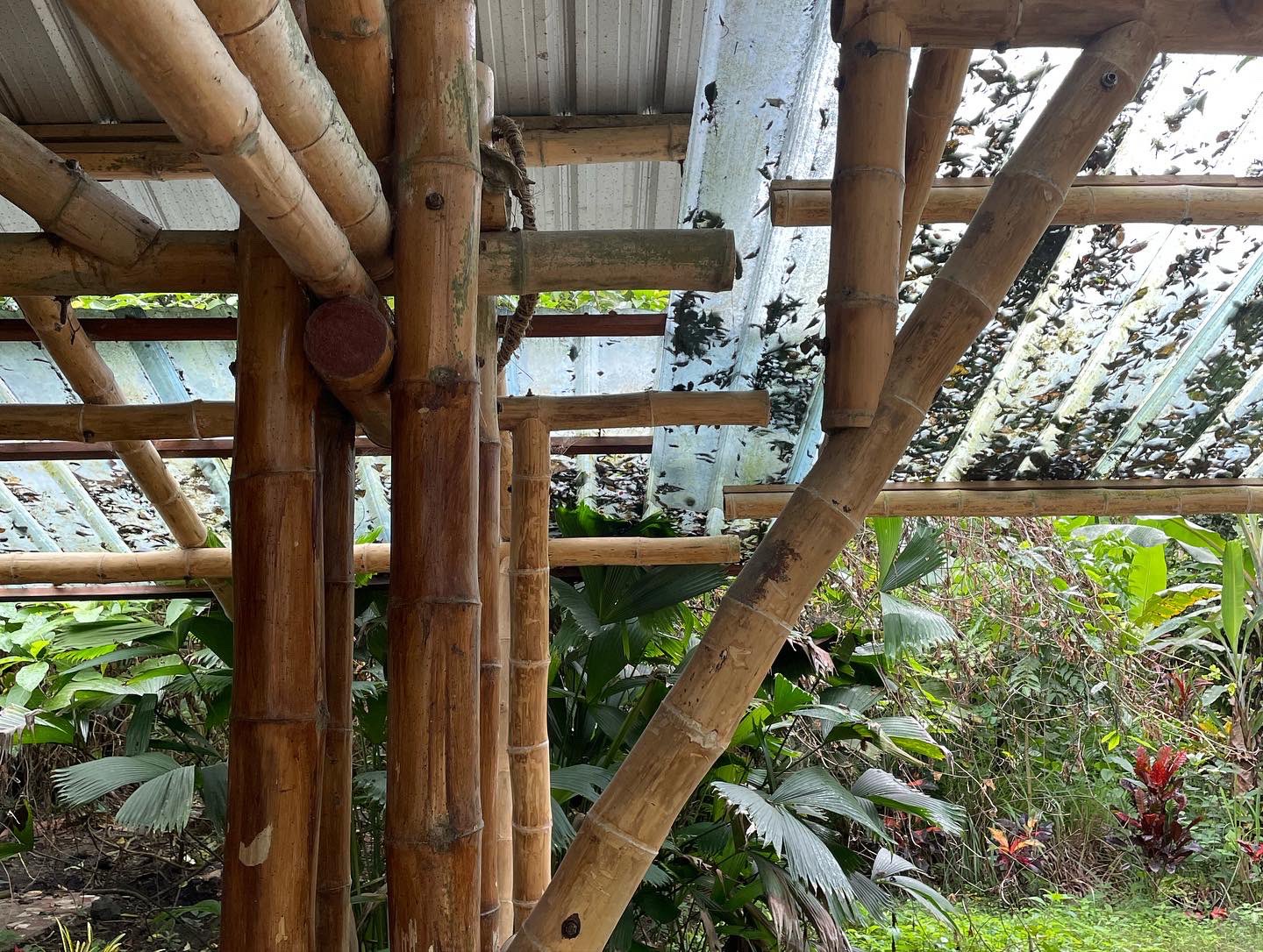 Bamboo Structures Joints