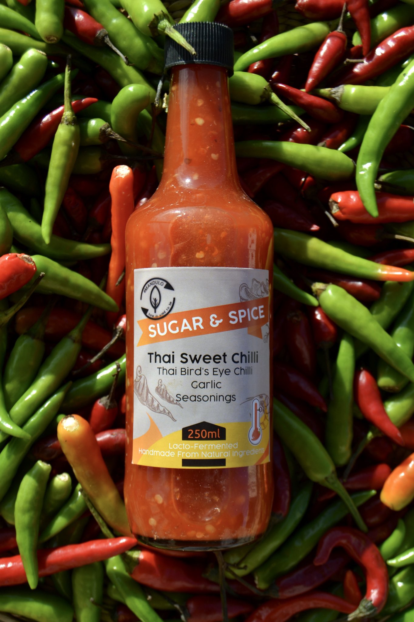 eMandulo (@eMandulo_) / Twitter