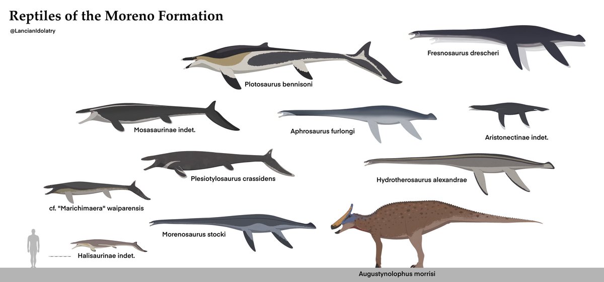 Hell Creek Enthusiast (@LancianIdolatry) さんのイラスト・マンガ作品まとめ (59 件) - Twoucan