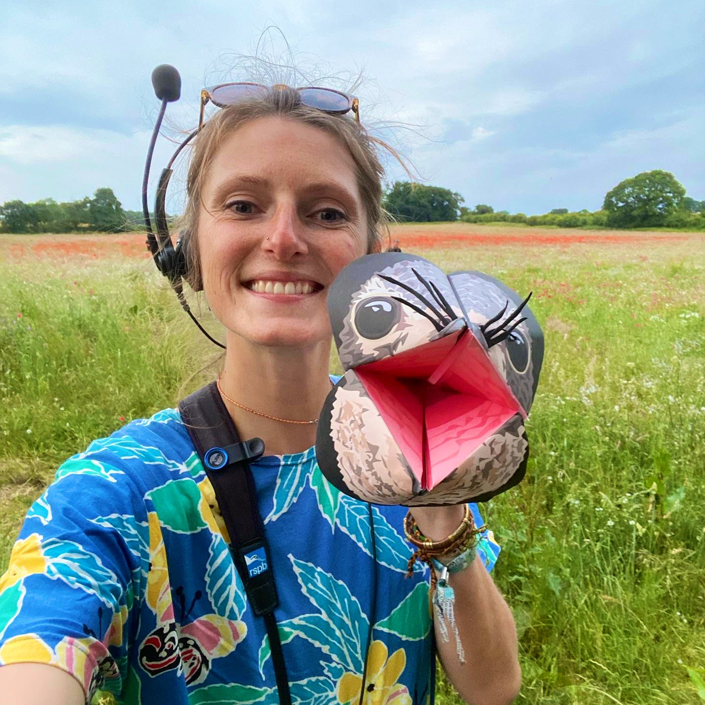 Lucy Lapwing on Twitter: "Nightjars are one of my favourite birds, so gotta say I was proud of ...