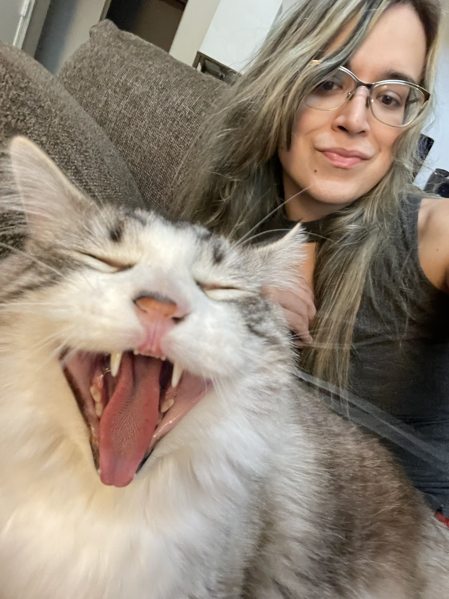 Jakkï 🏳️‍⚧️ On Twitter I Told Princess To Smile She Did Her Best W14y0er7vp