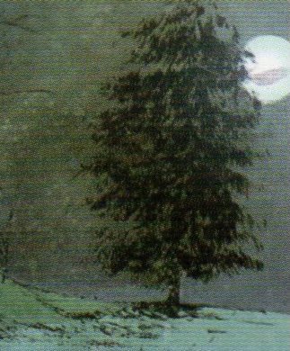 Percy Jackson Thalias Tree