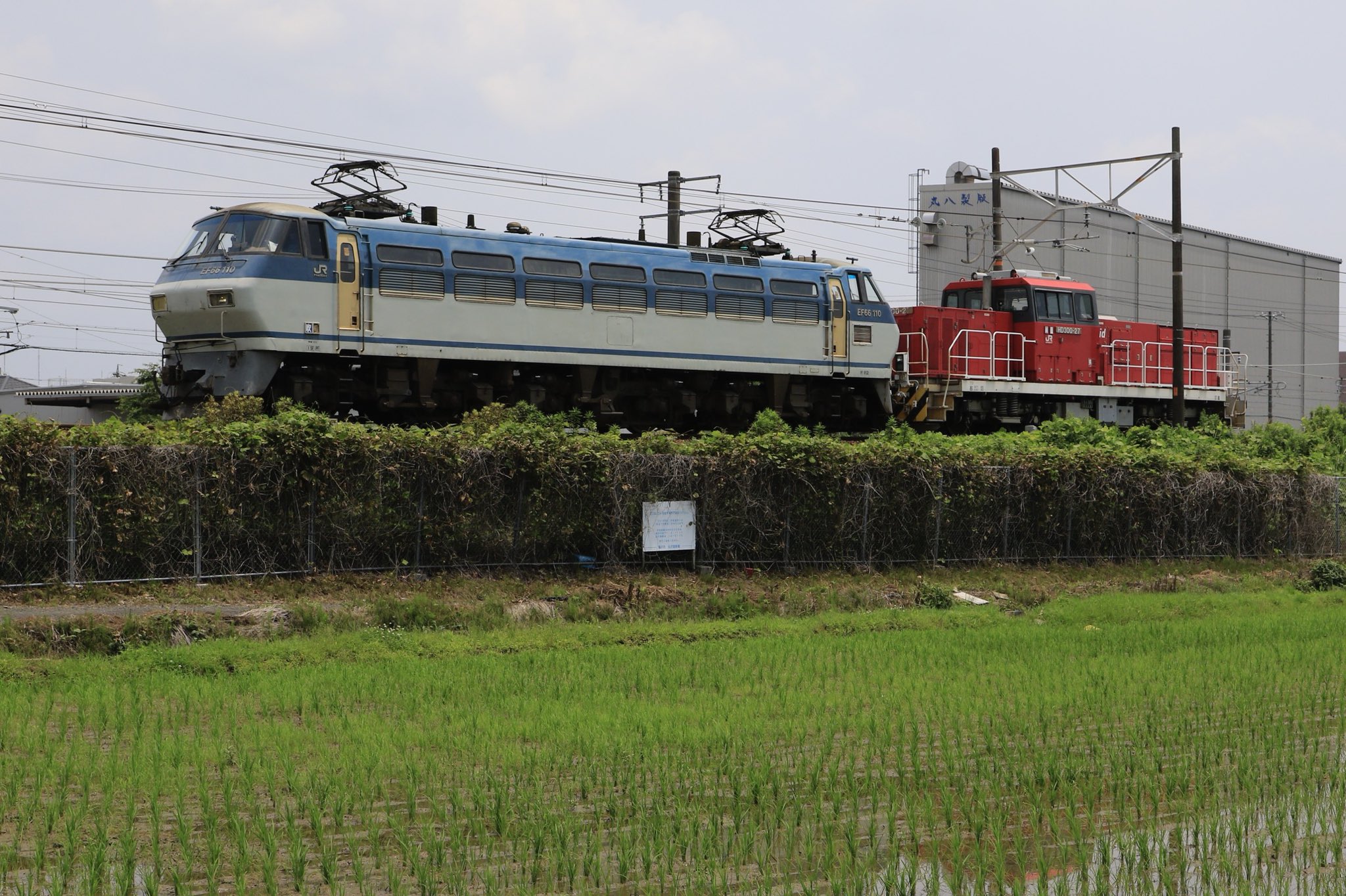 Tynpn (@tynpn23_sgsyo) / Twitter