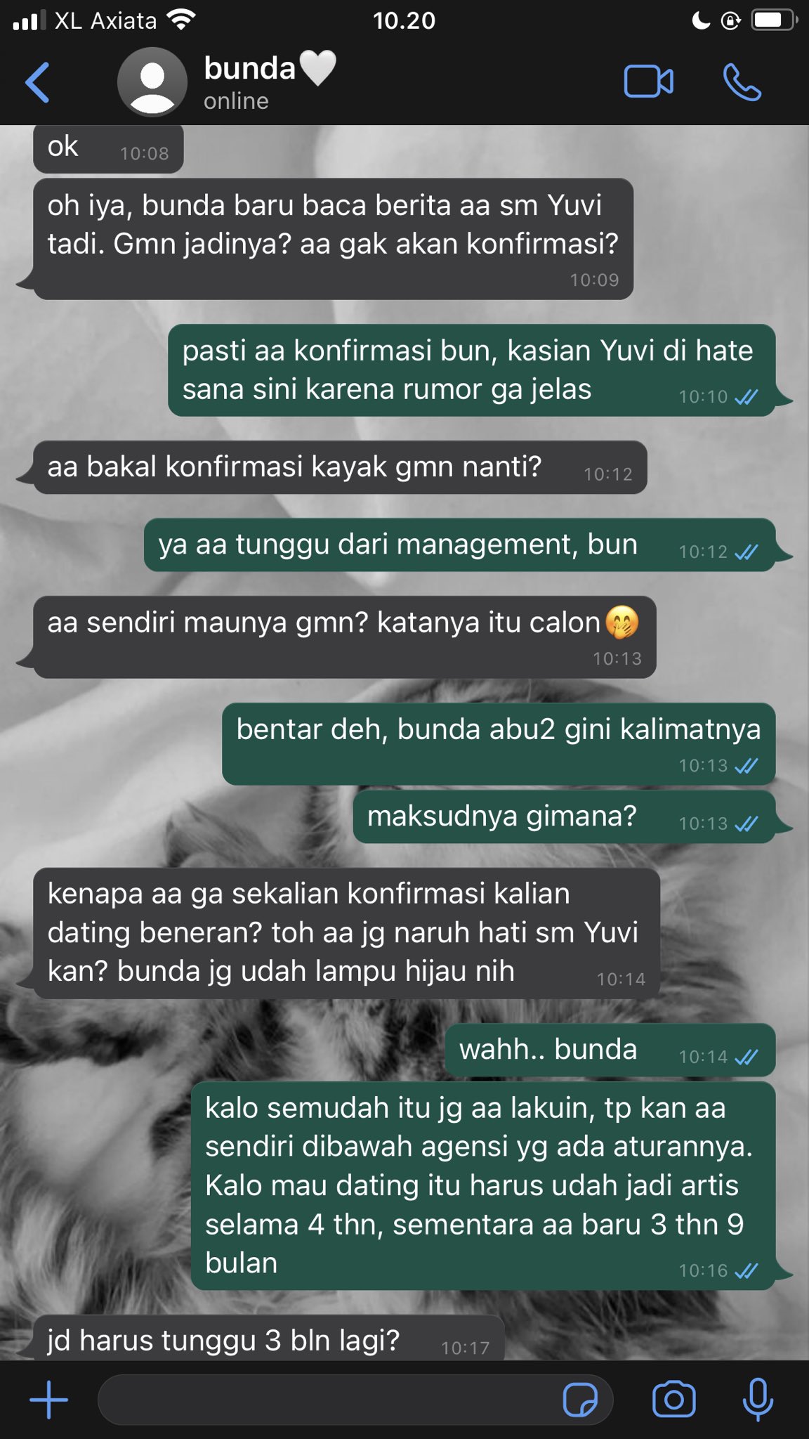 Vaa🎀 || few tweets Juno📌 on Twitter: "210 https://t.co/g9a7Ppta29" / Twitter