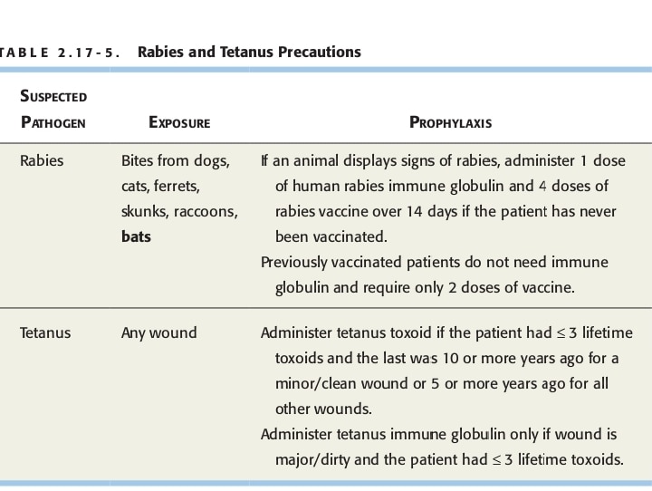 Difference Between Tetanus And Rabies: Which Is Better For You?