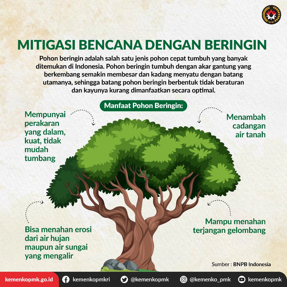 Gambar Beringin