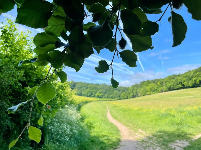 Welcome to The Misbourne