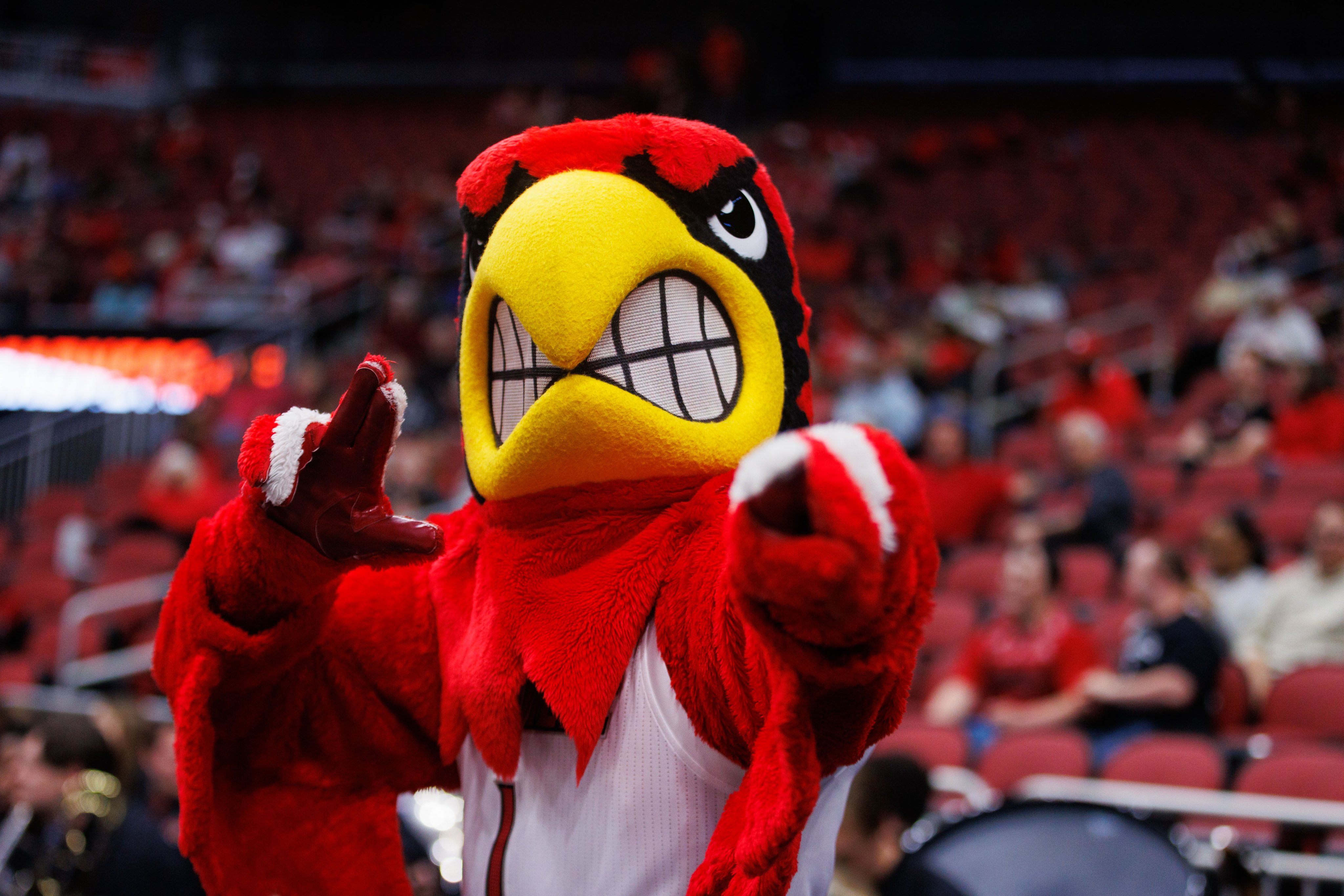 Louisville University Mascot