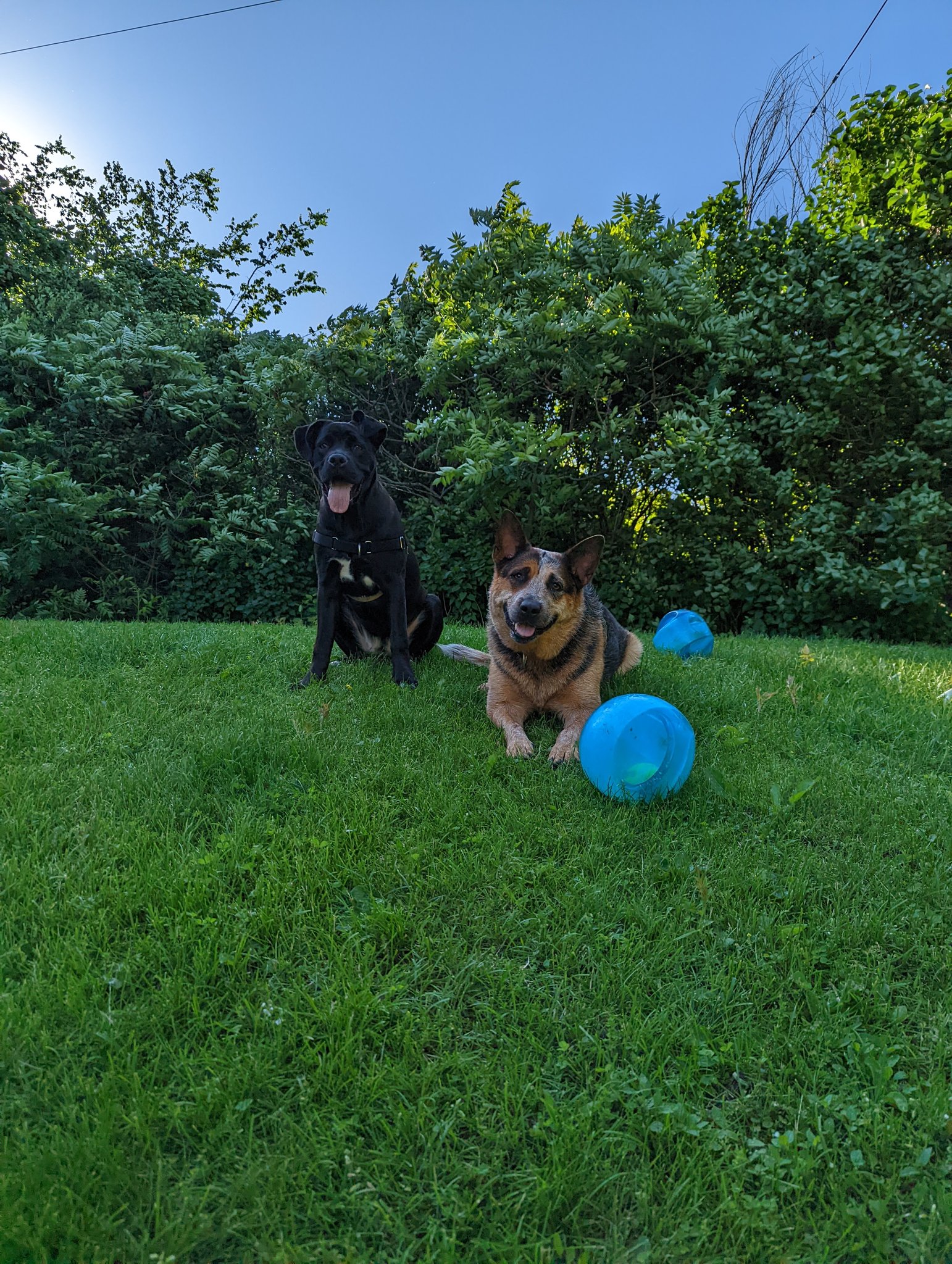 TW Pornstars - 1 pic. Charlie Cruise. Twitter. Lady and Chicken ...