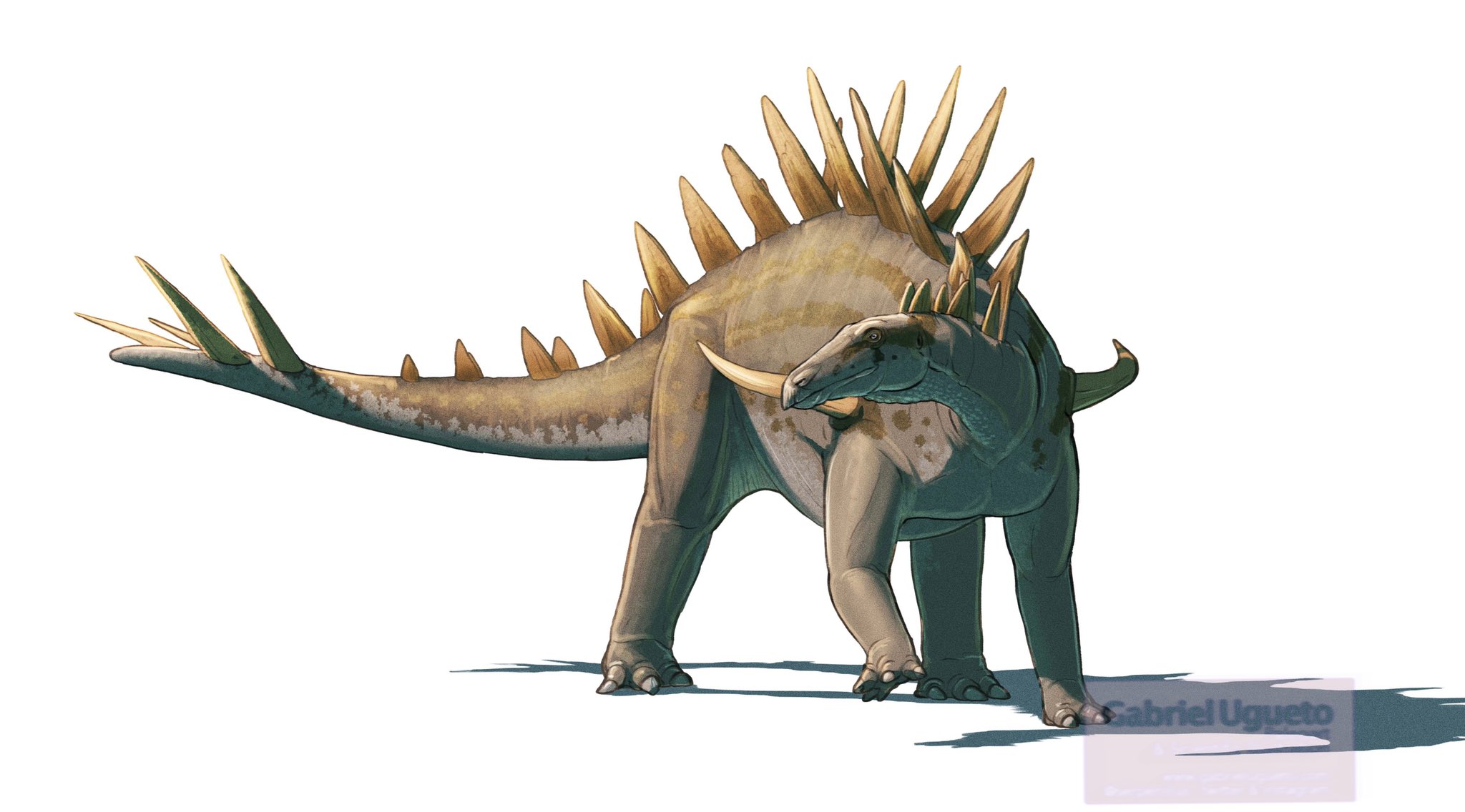Dinosaur King Tuojiangosaurus