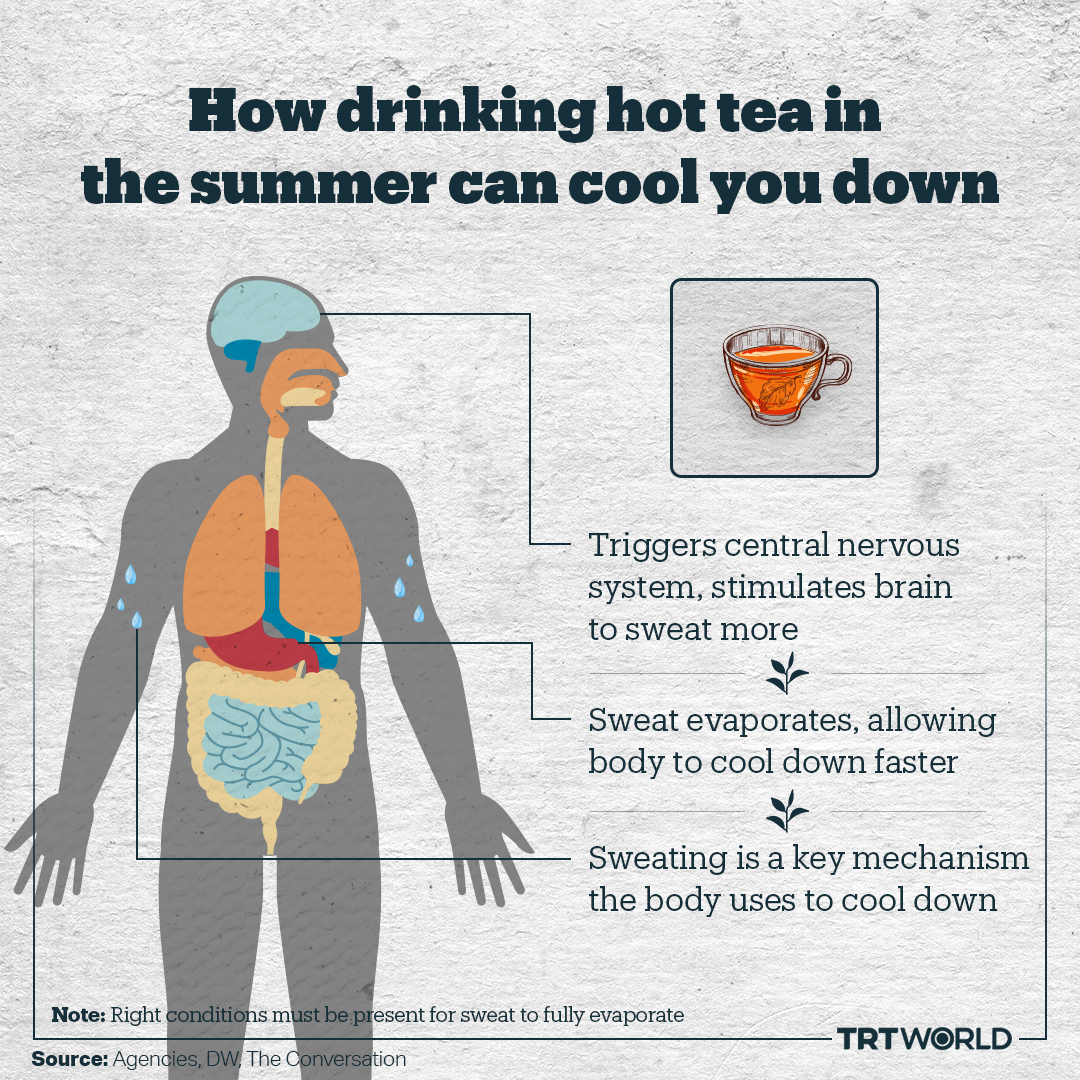 Sweating Human Anatomy