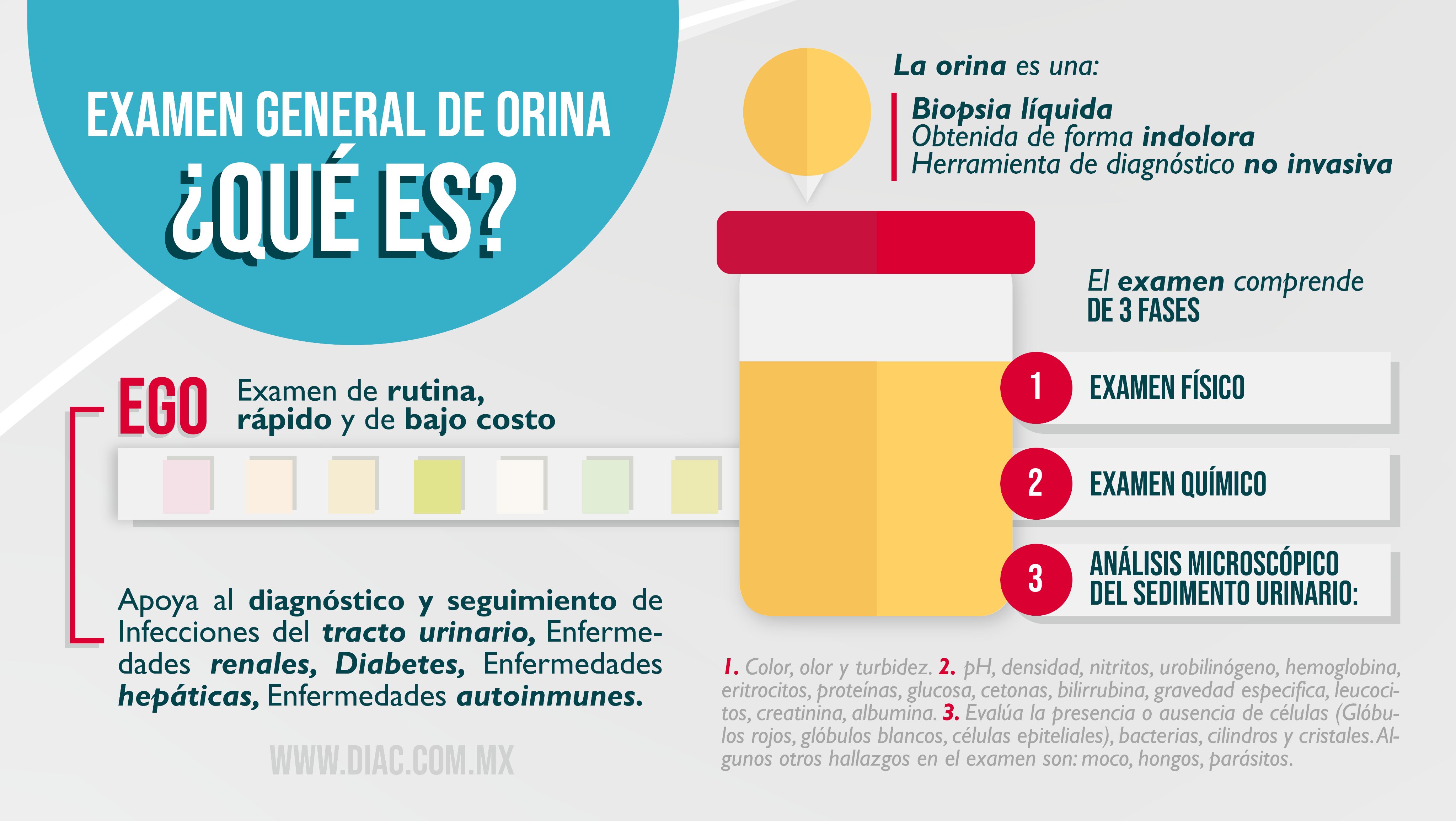 SOLUTION: Infografia Sobre El Examen General De Orina Ego, 48% OFF SOLUTION: Infografia Sobre El Examen General De Orina Ego, 48% OFF