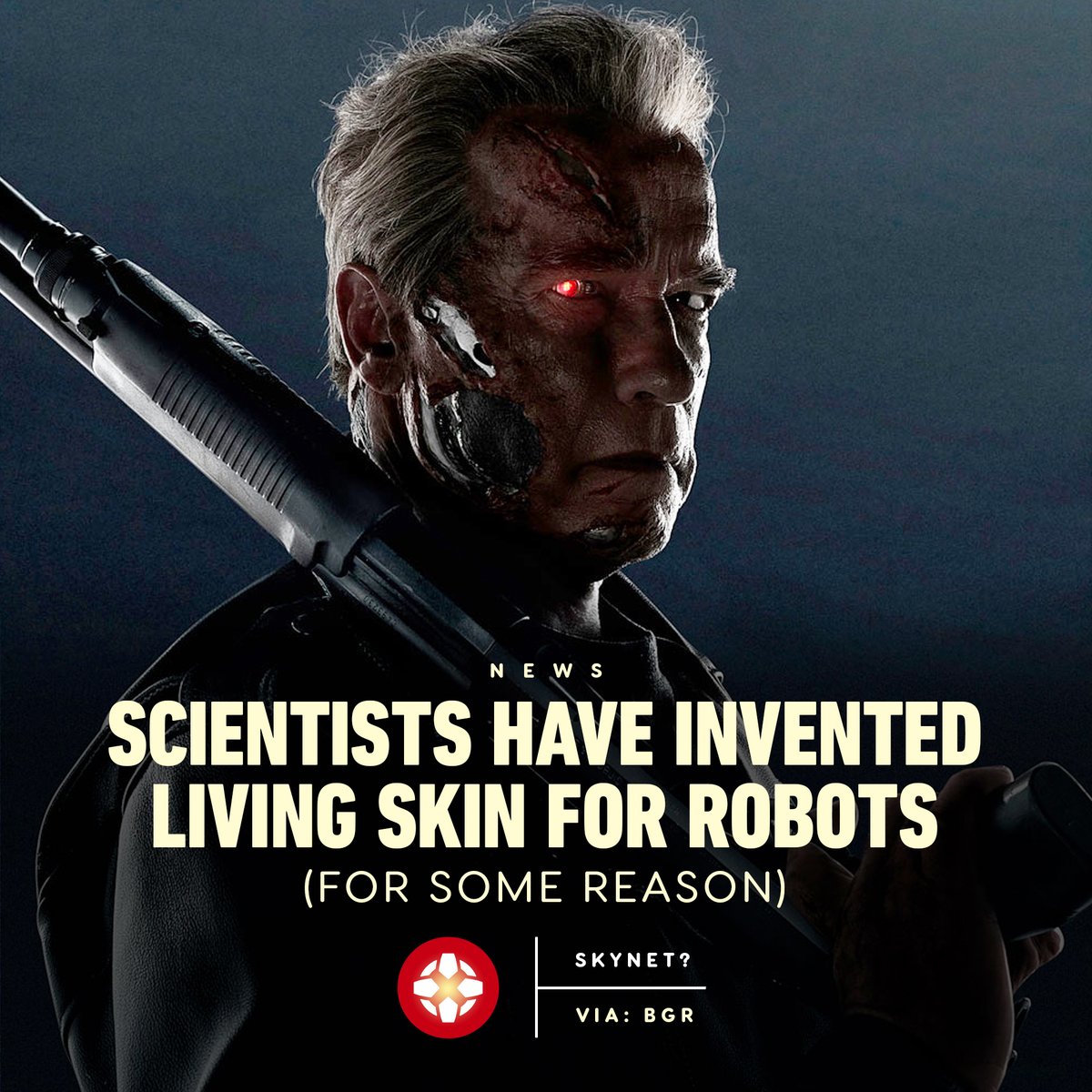 Japanese scientists used human skin cells to create a "living skin ...