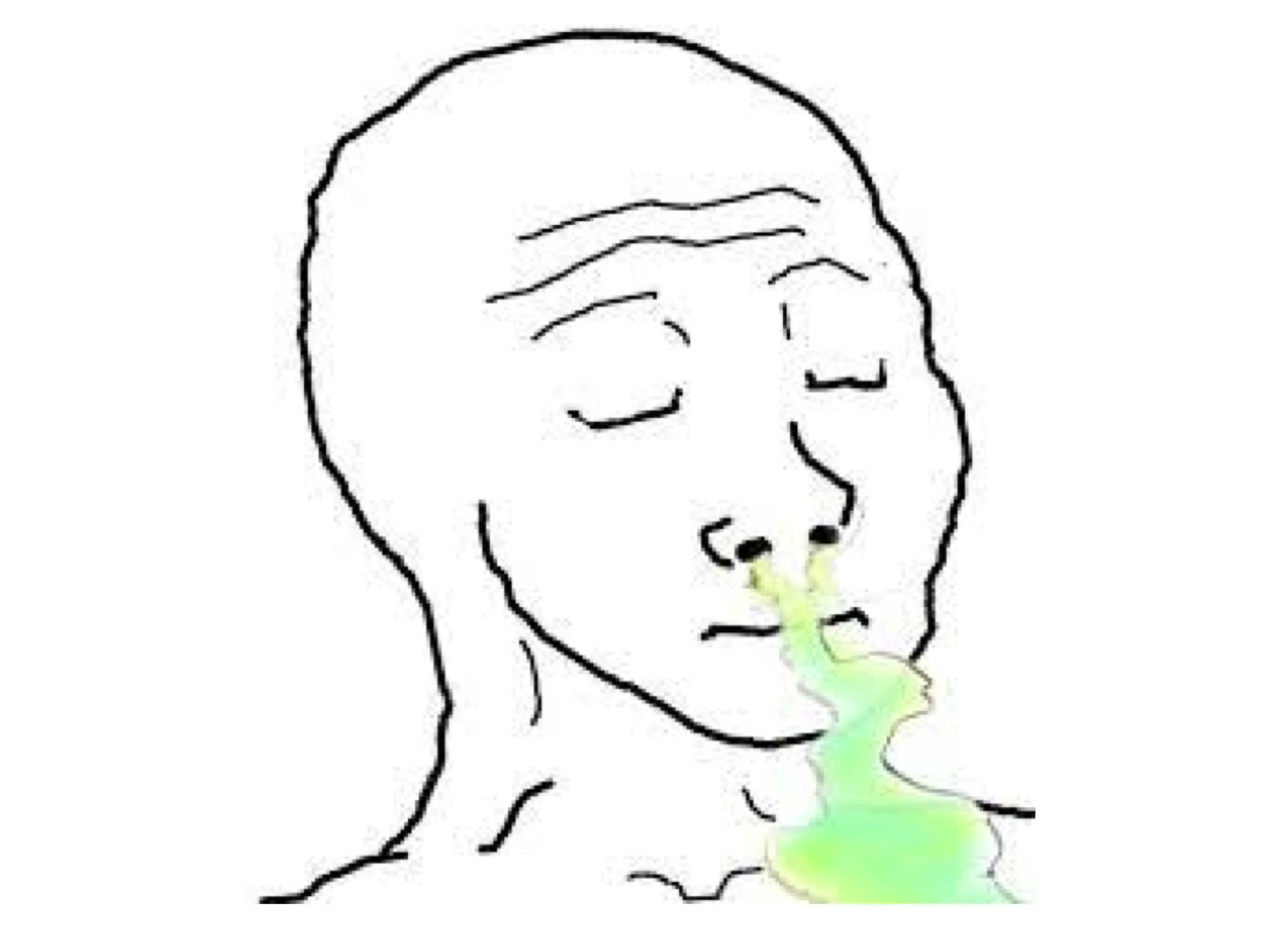 Smell Fart Memes New Fart Gag Prank Joke Spray Stink Bomb Smelly