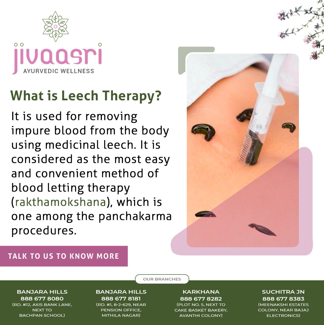 Medicinal Leech Therapy