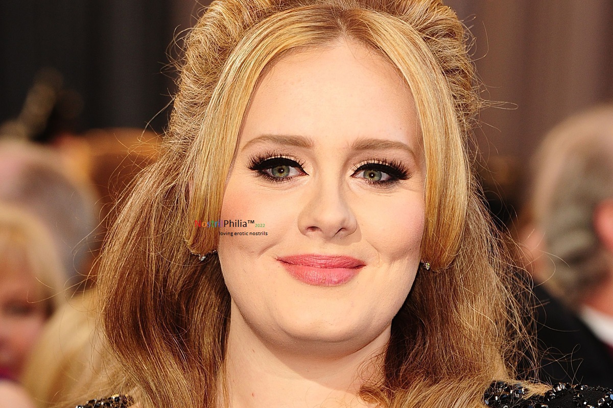 Adele Nose Job