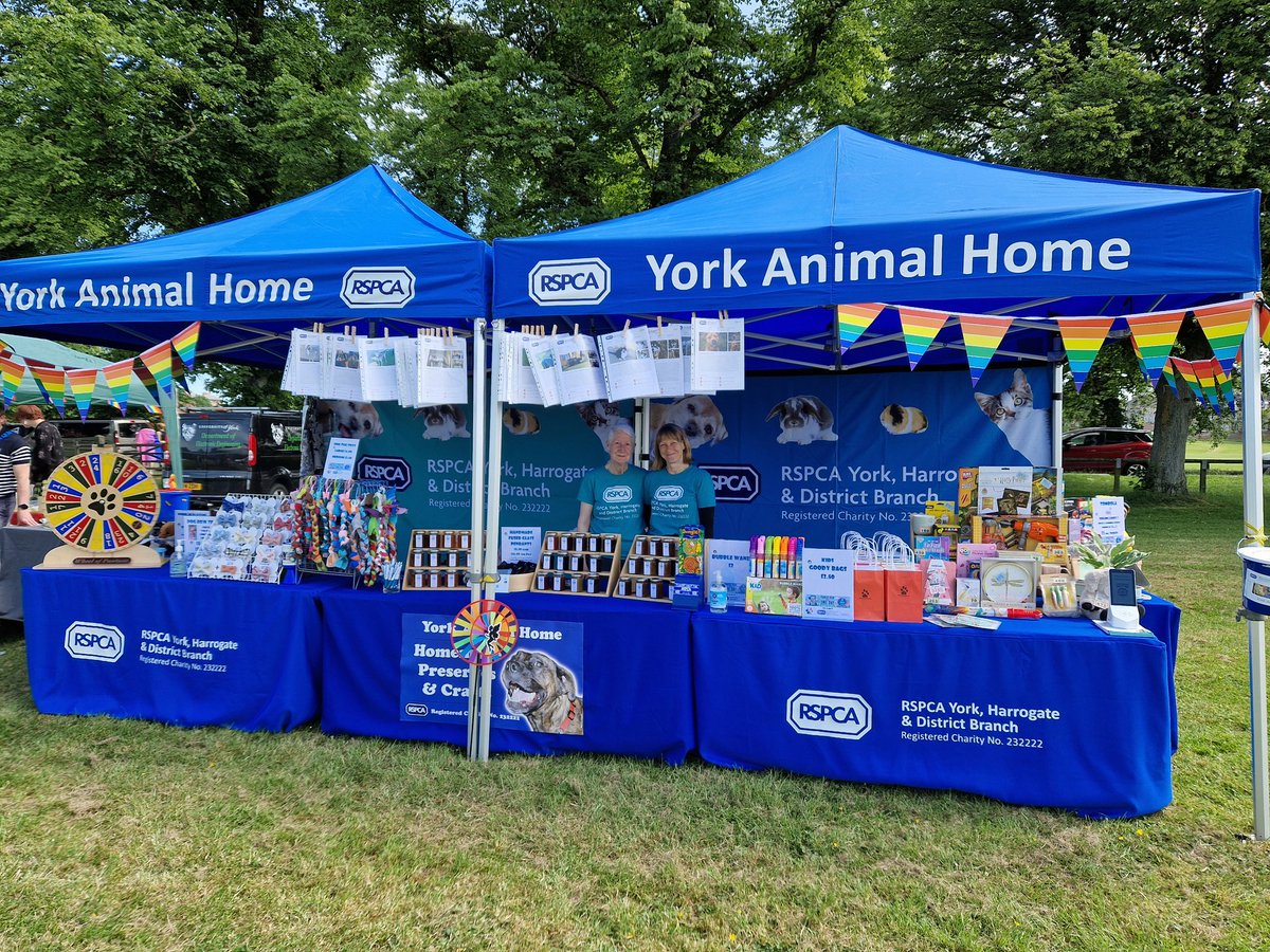 RSPCA York, Harrogate & District Branch - Home