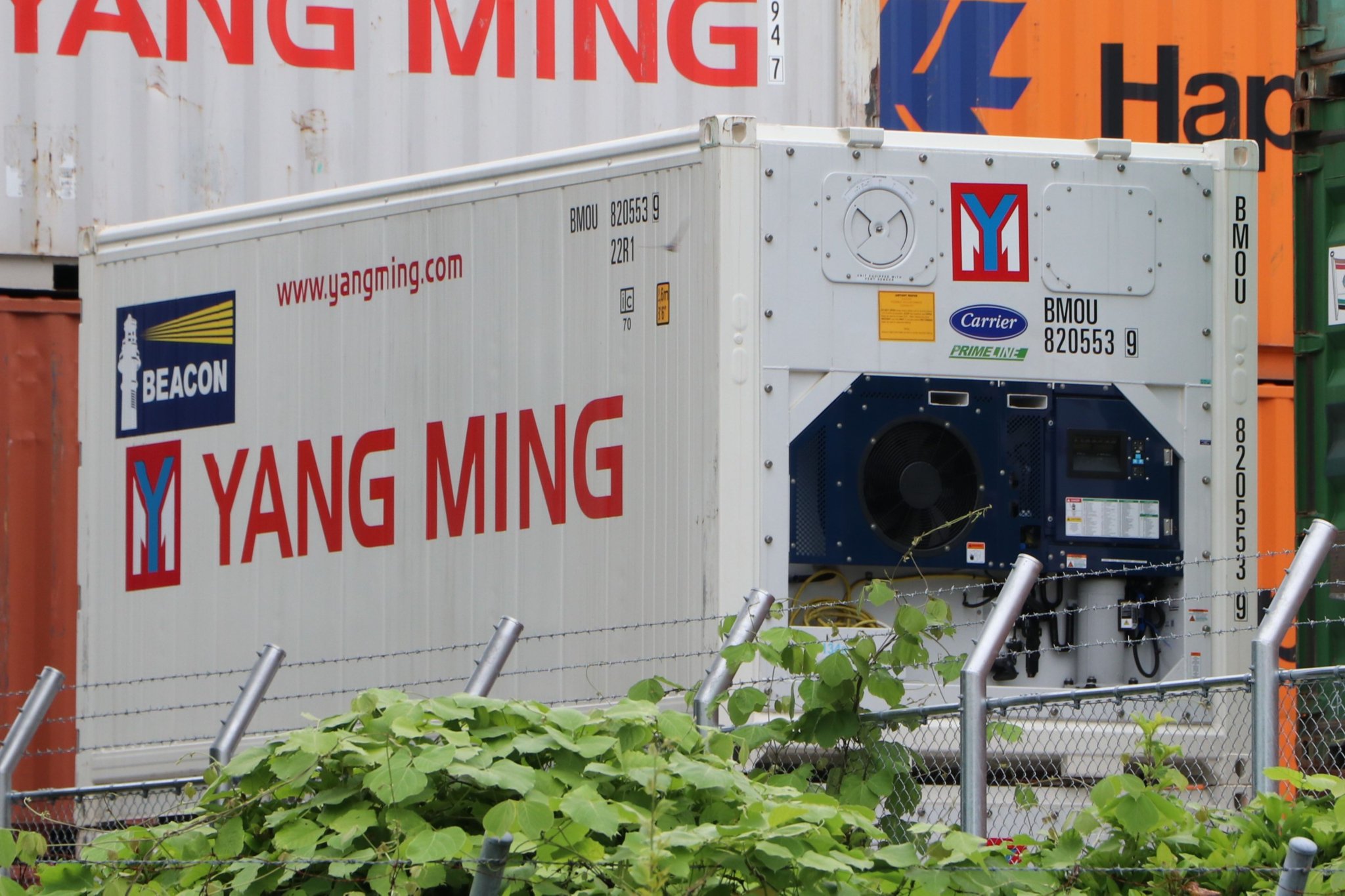 Ryo on Twitter: "BMOU 820553 [9] 22R1 所有:BEACON INTERMODAL LEASING LLC 借受:YANG MING MARINE ...