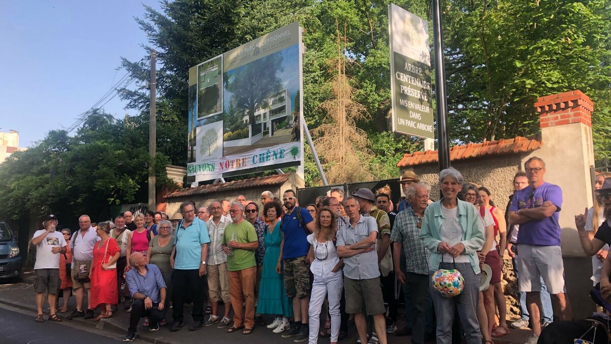 Revue De Presse On Twitter Rt Leparisien Saint Maur Des Fossés