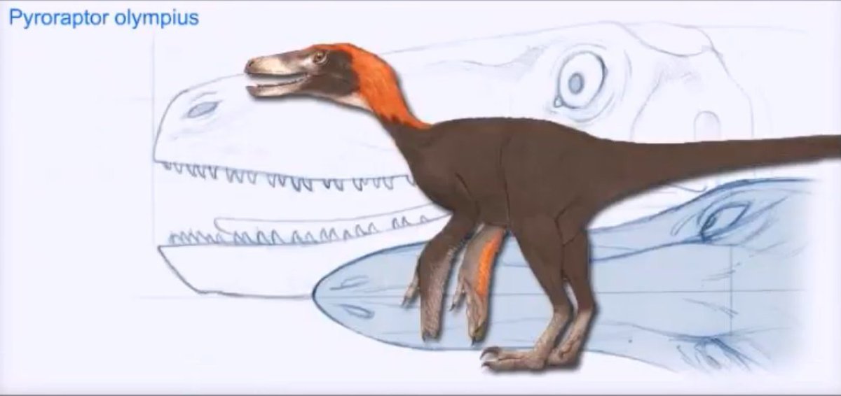 Dinosaur Planet Pyroraptor